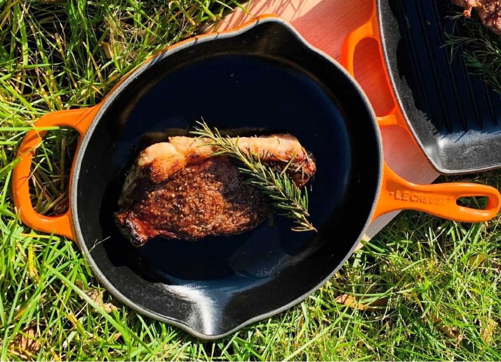 UT Launches Farm-to-Table Beef Program | Institute News