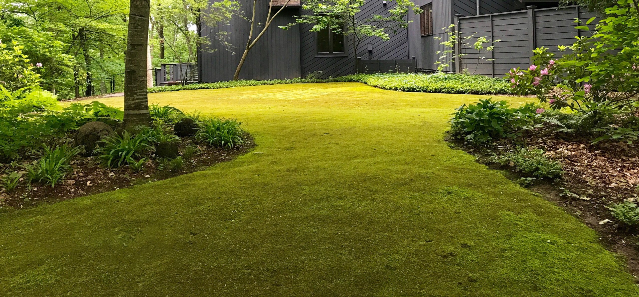 Magnificent Moss | Institute News