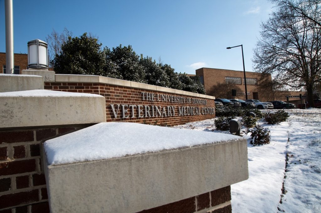 UT College of Veterinary Medicine Names Large Animal Hospital for ...