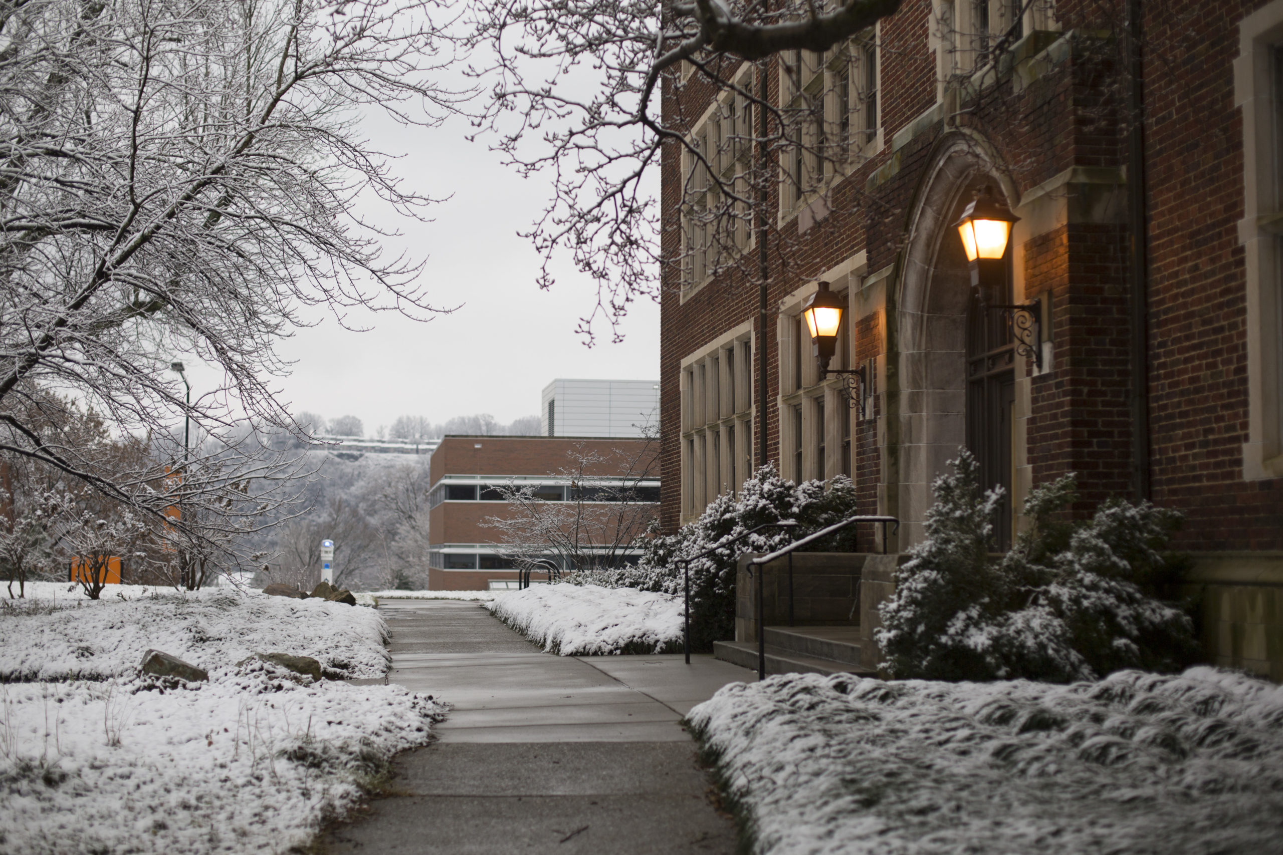 Templeton and Zimbrick Join UTIA Office of Institutional Advancement ...