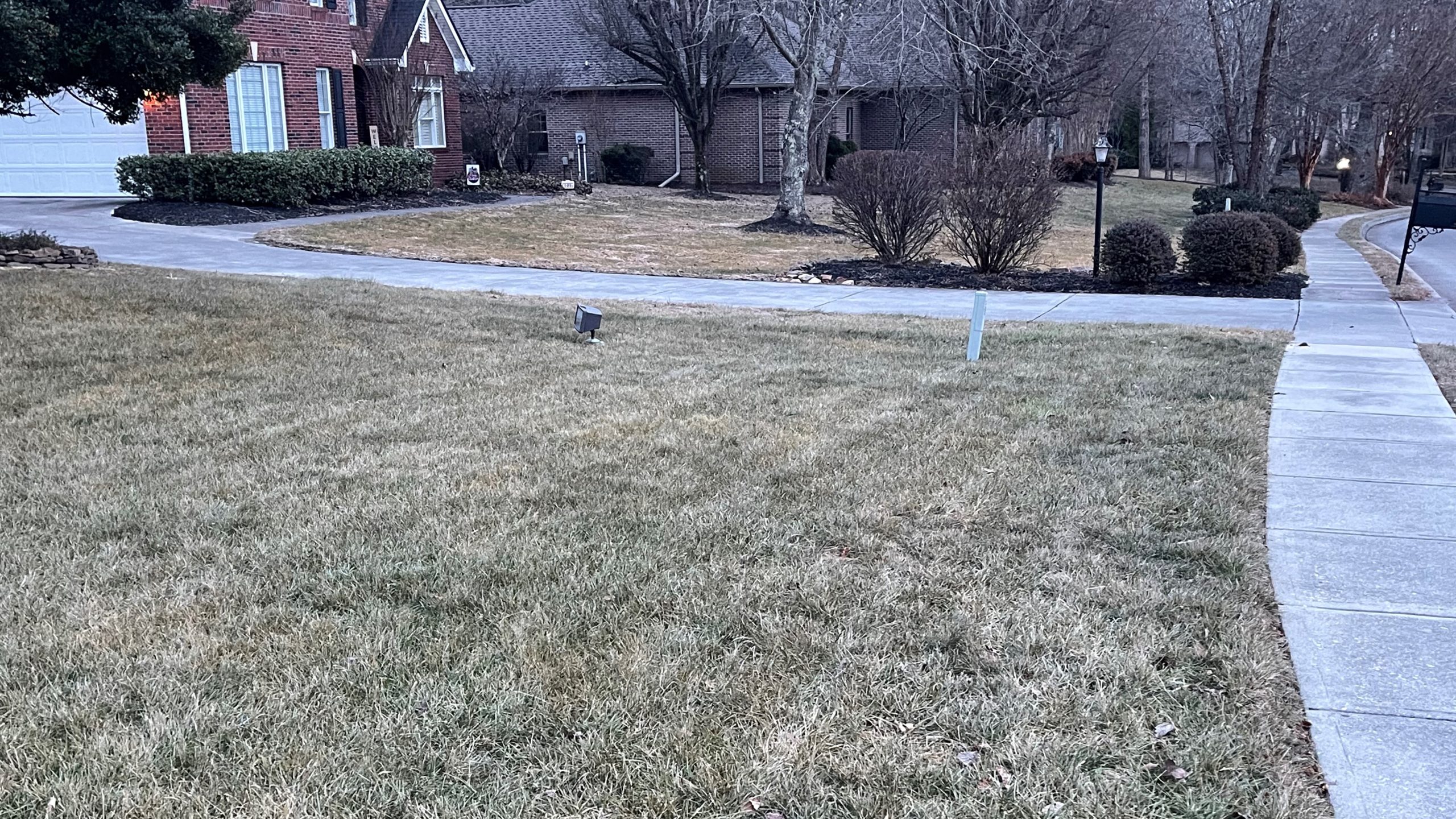 Evaluating Your Lawn and Landscape After the Recent Holiday Freeze ...