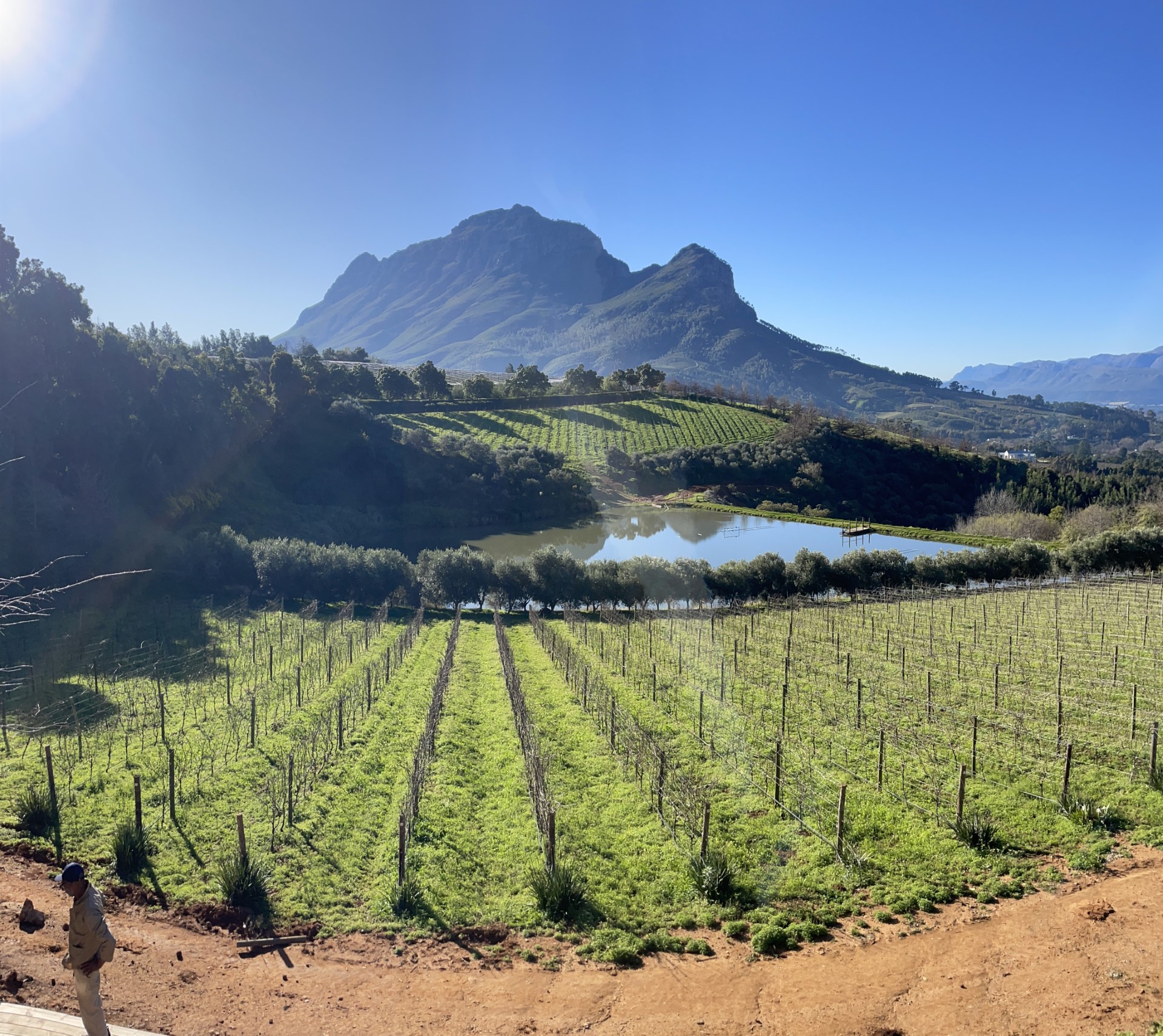 UTIA Researchers Analyze Experiences of Women in Leadership in ...