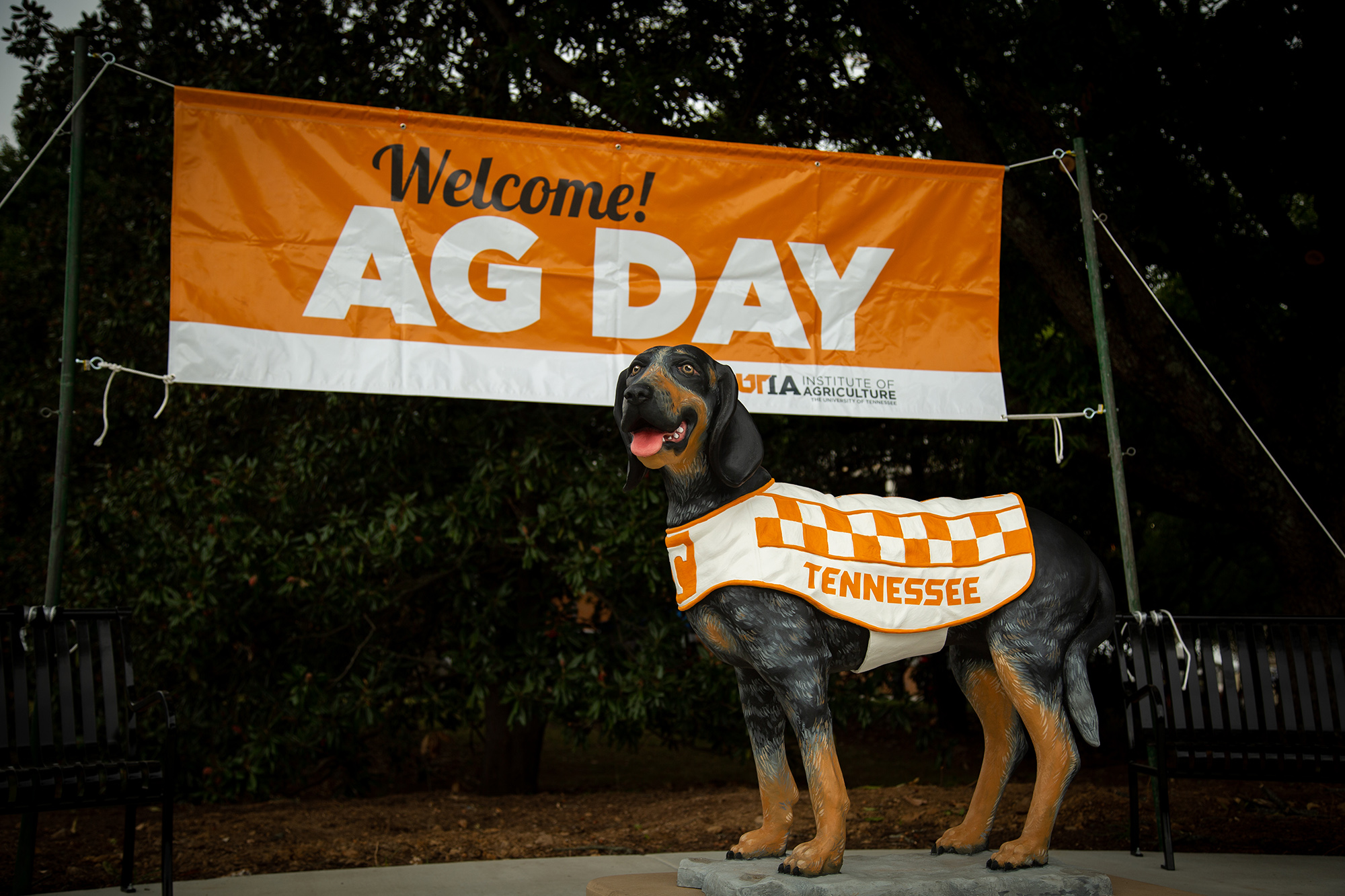 UTIA Celebrates Ag Day 2023 | Institute News